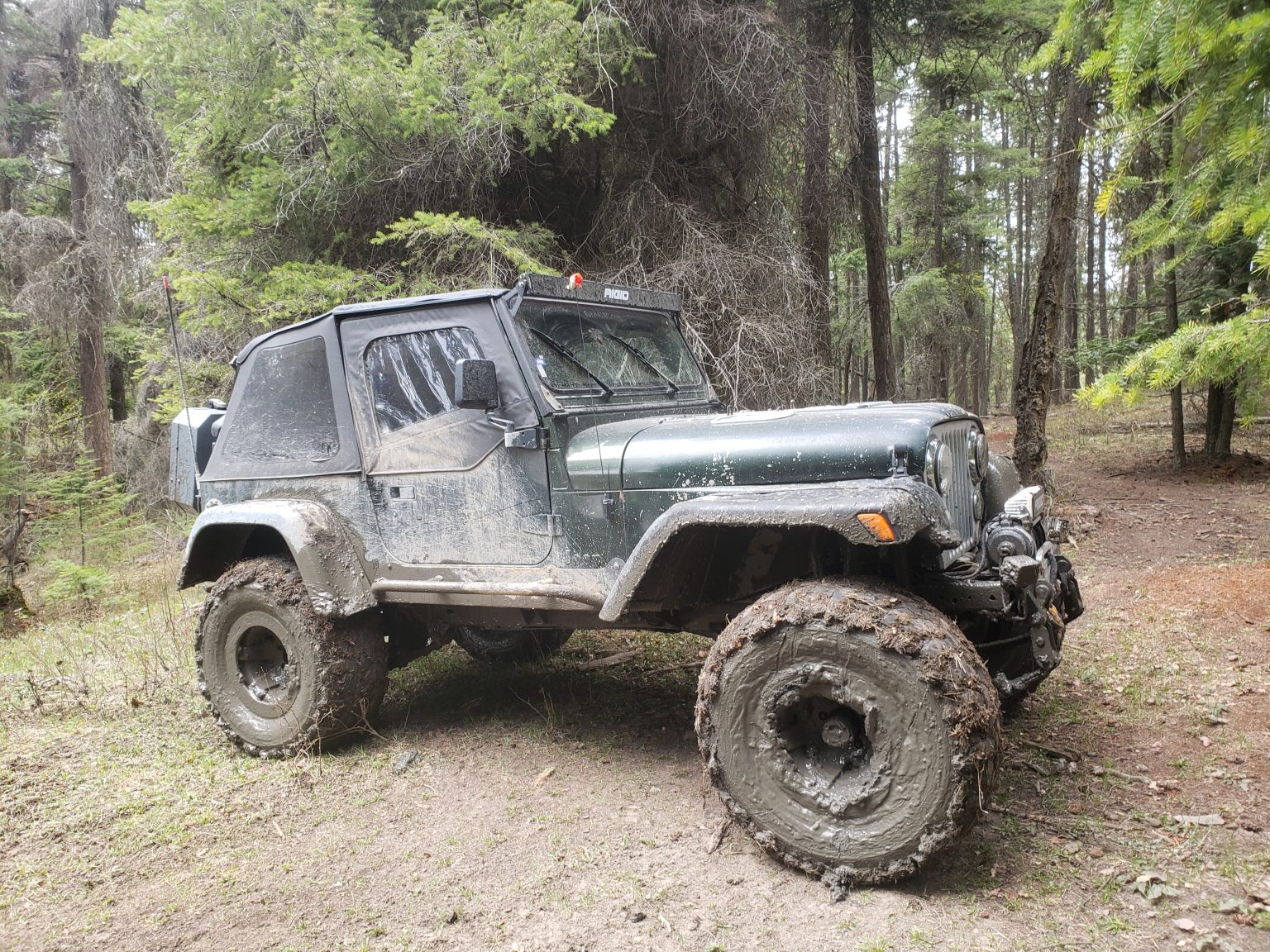 Spotter's Guide: A Quick Rundown of the Jeep CJ Generations