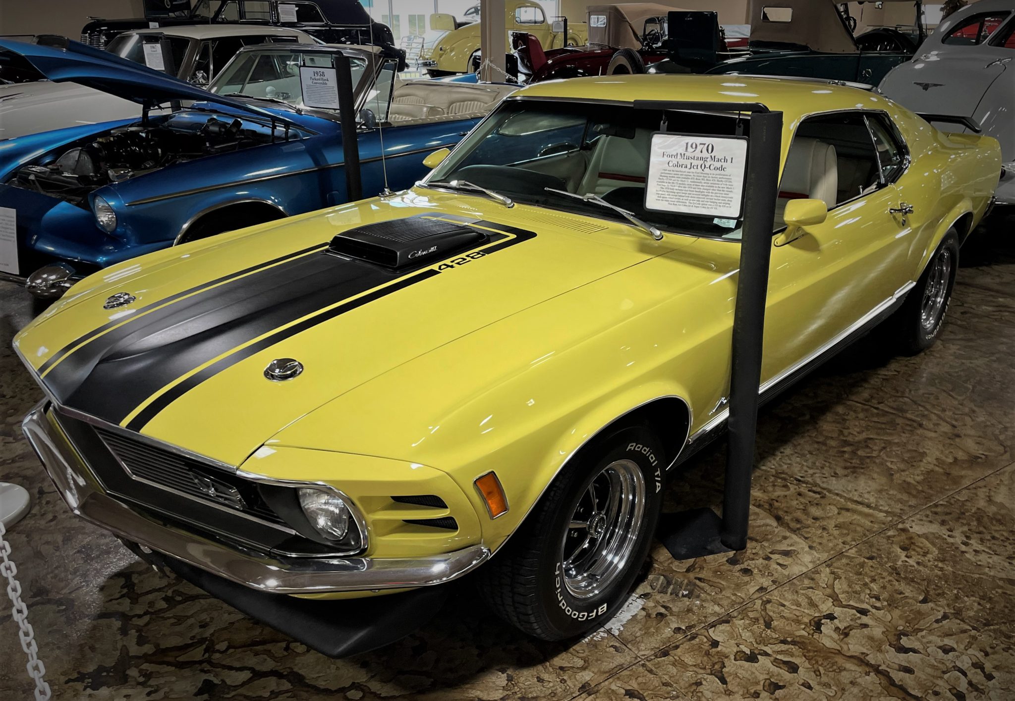 Photo Gallery: Massive Indoor Car Collection—Prewar Classics, Rare ...